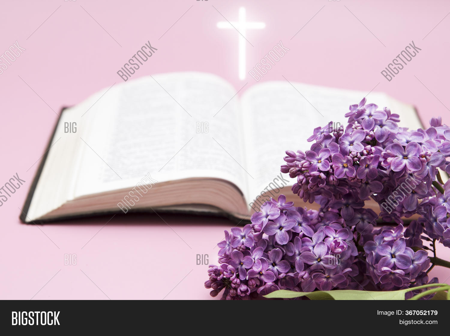 Close Lilac Flowers Image & Photo (Free Trial) | Bigstock