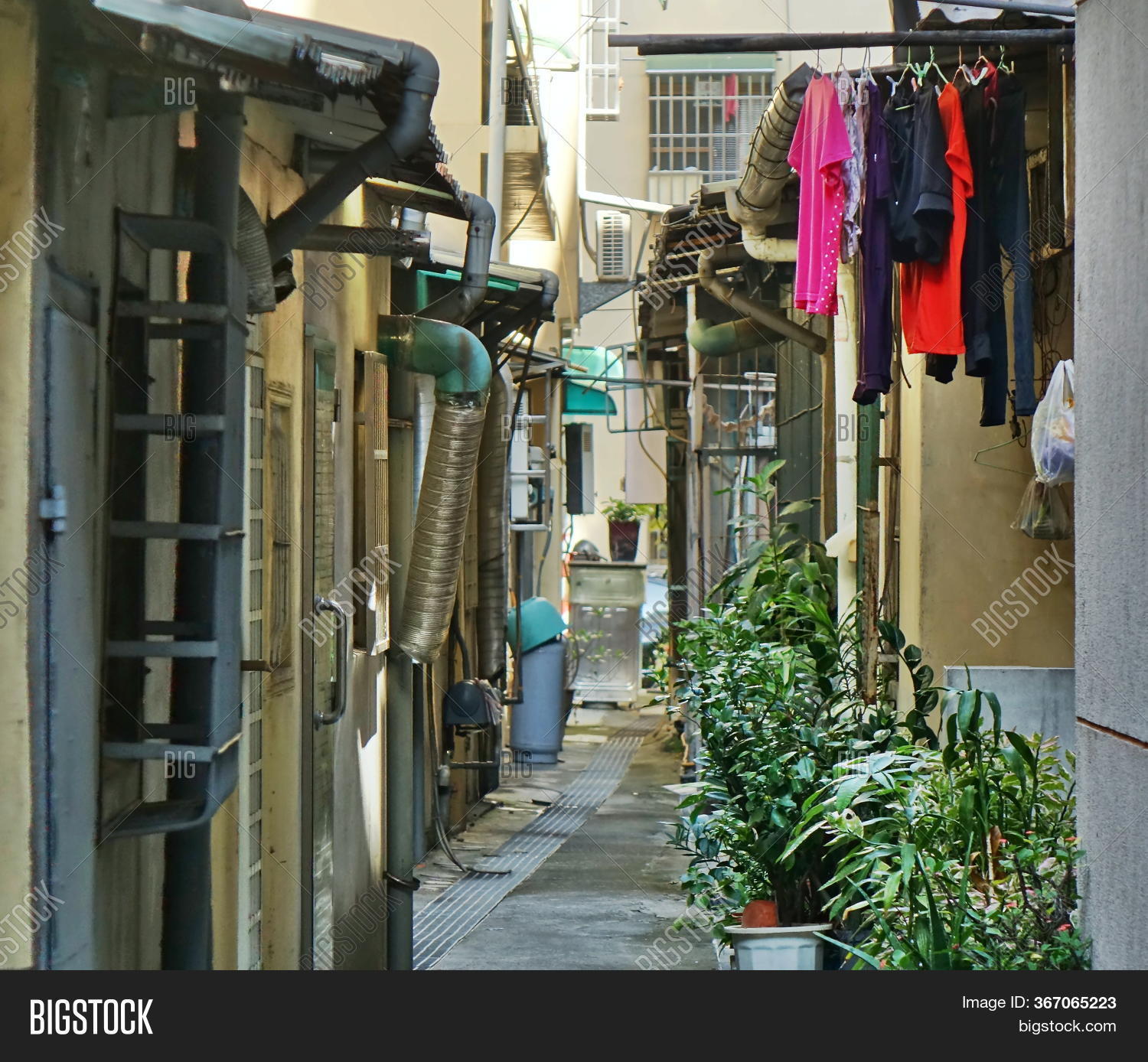Narrow Backstreet Lane Image & Photo (Free Trial) | Bigstock