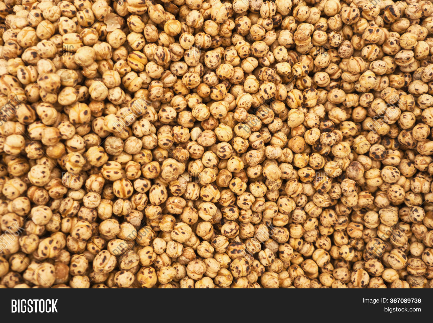 Chickpeas Seed Image & Photo (Free Trial) | Bigstock