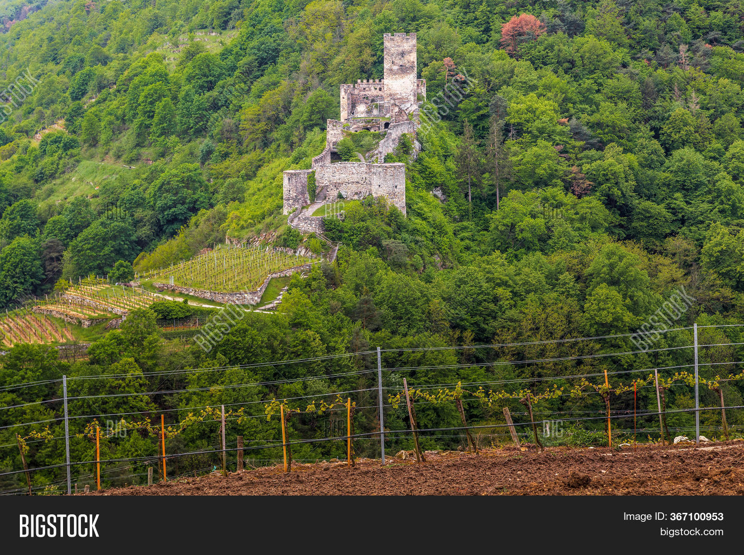 Spitz, Austria - May Image & Photo (Free Trial) | Bigstock