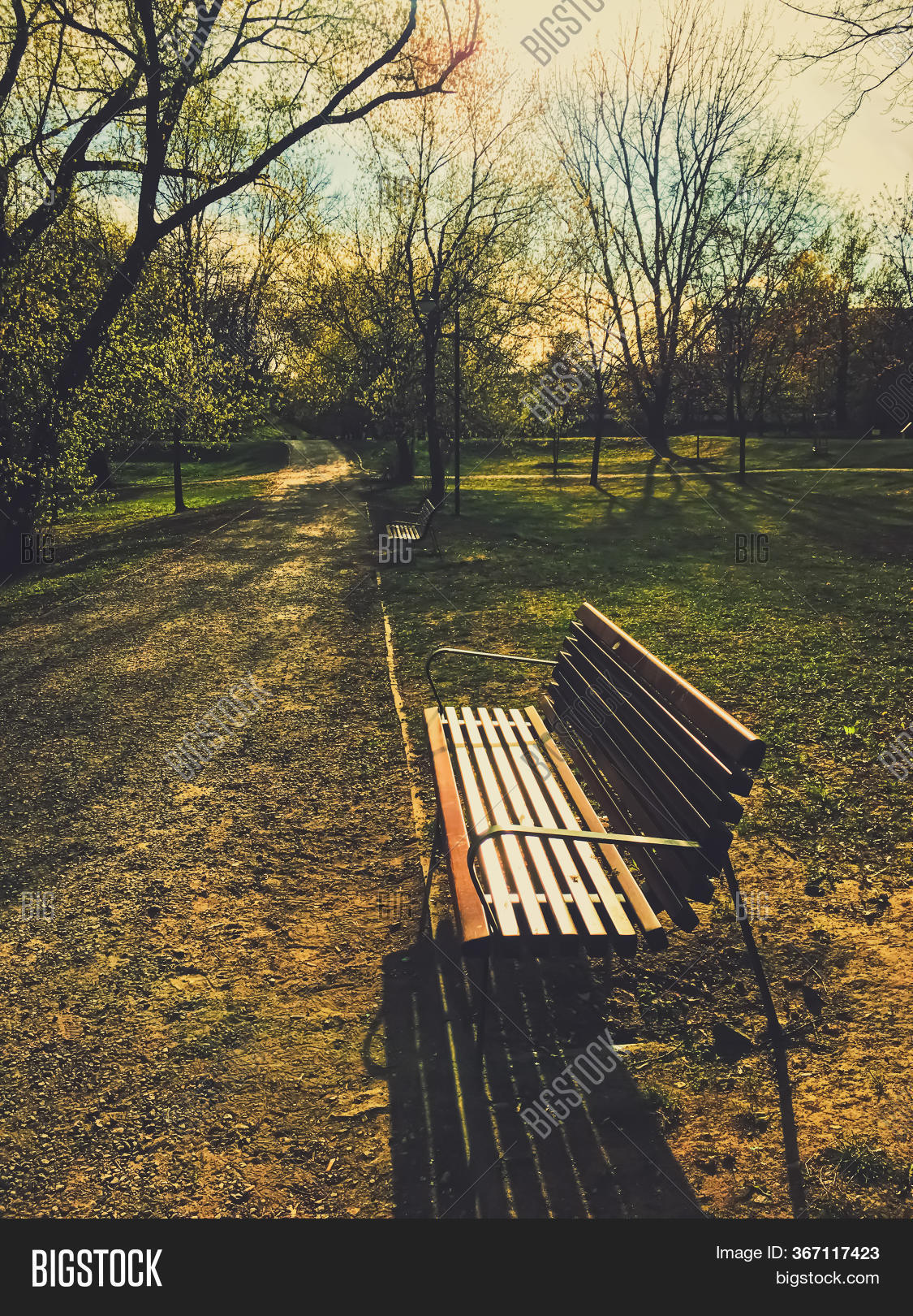 Empty Bench Park Image & Photo (Free Trial) | Bigstock