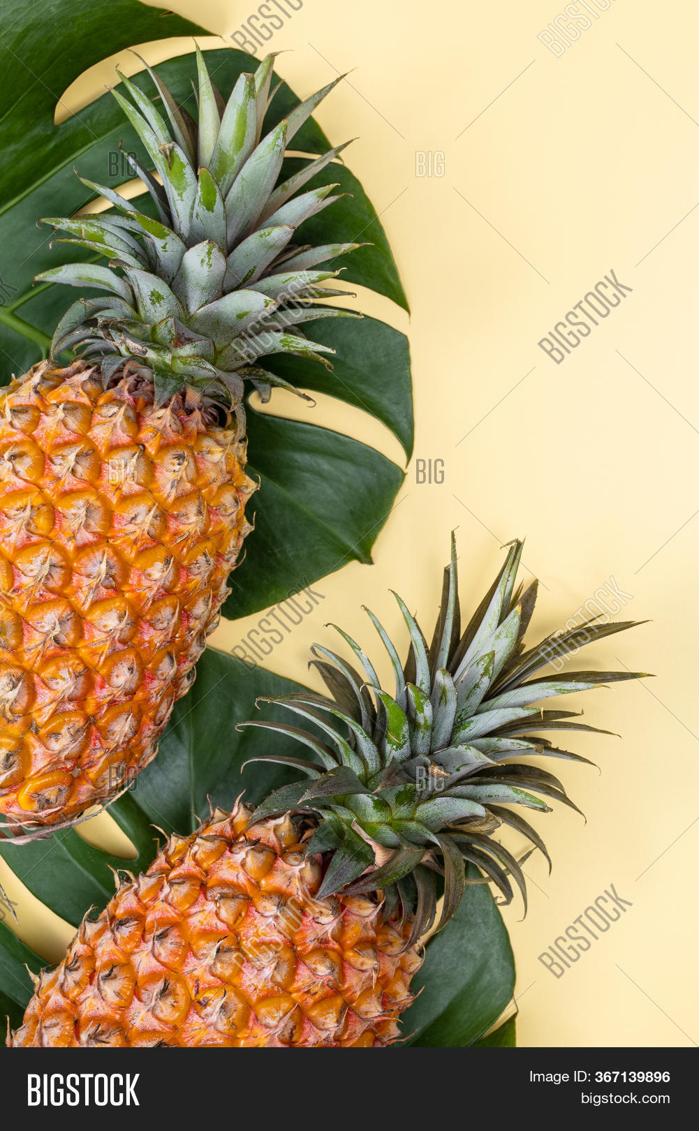 Beautiful Pineapple On Image & Photo (Free Trial) | Bigstock