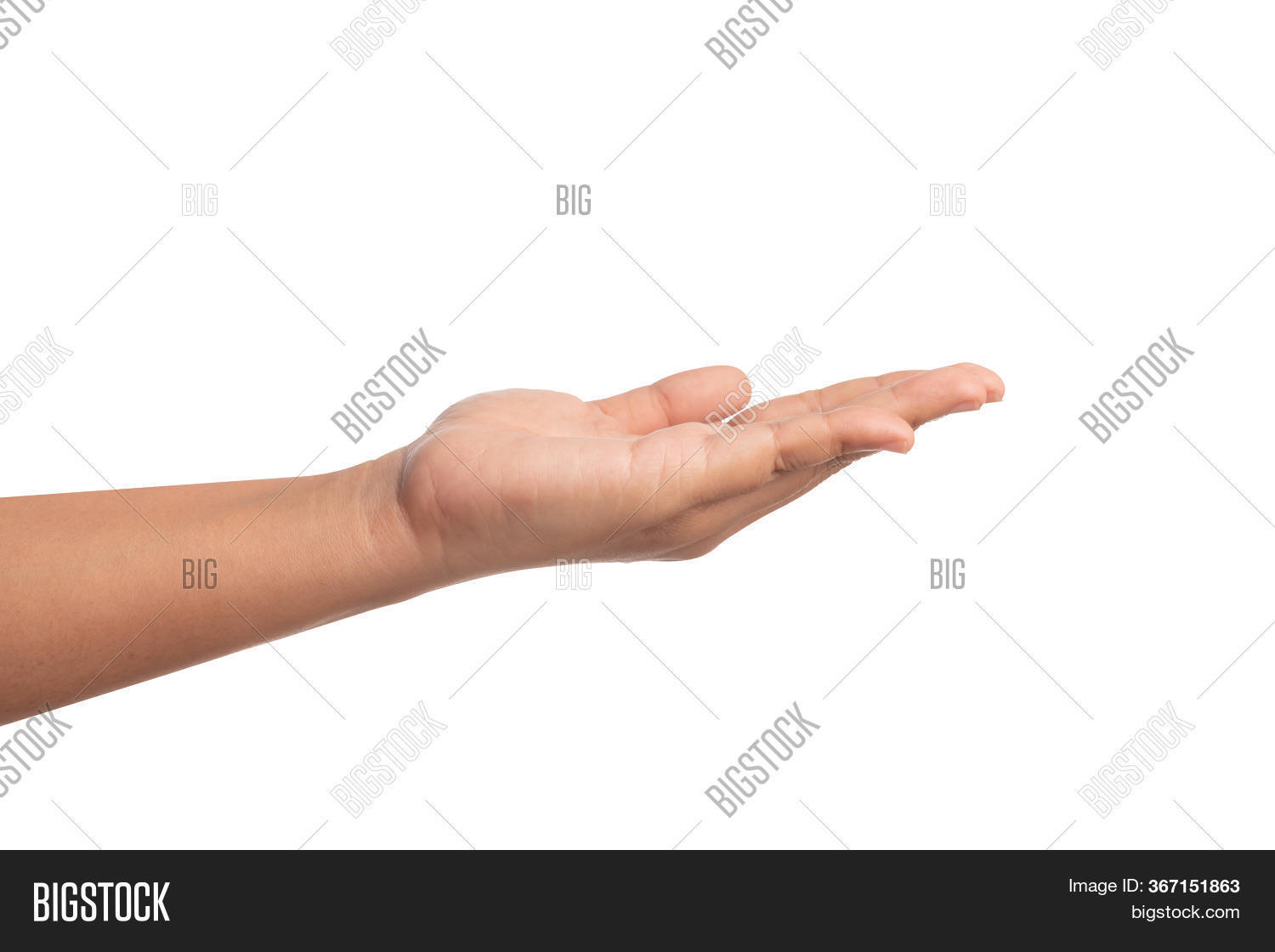 Open Palm Left Hand Image & Photo (Free Trial) | Bigstock
