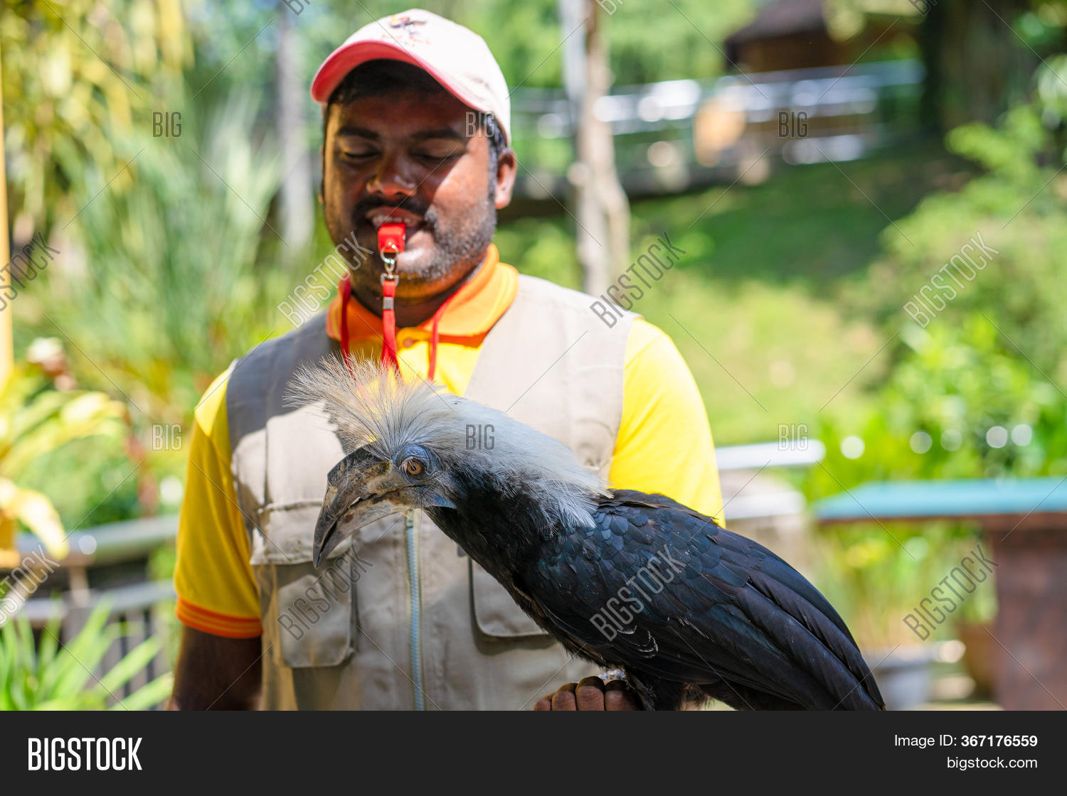 Show Birds Bird Park. Image & Photo (Free Trial) | Bigstock