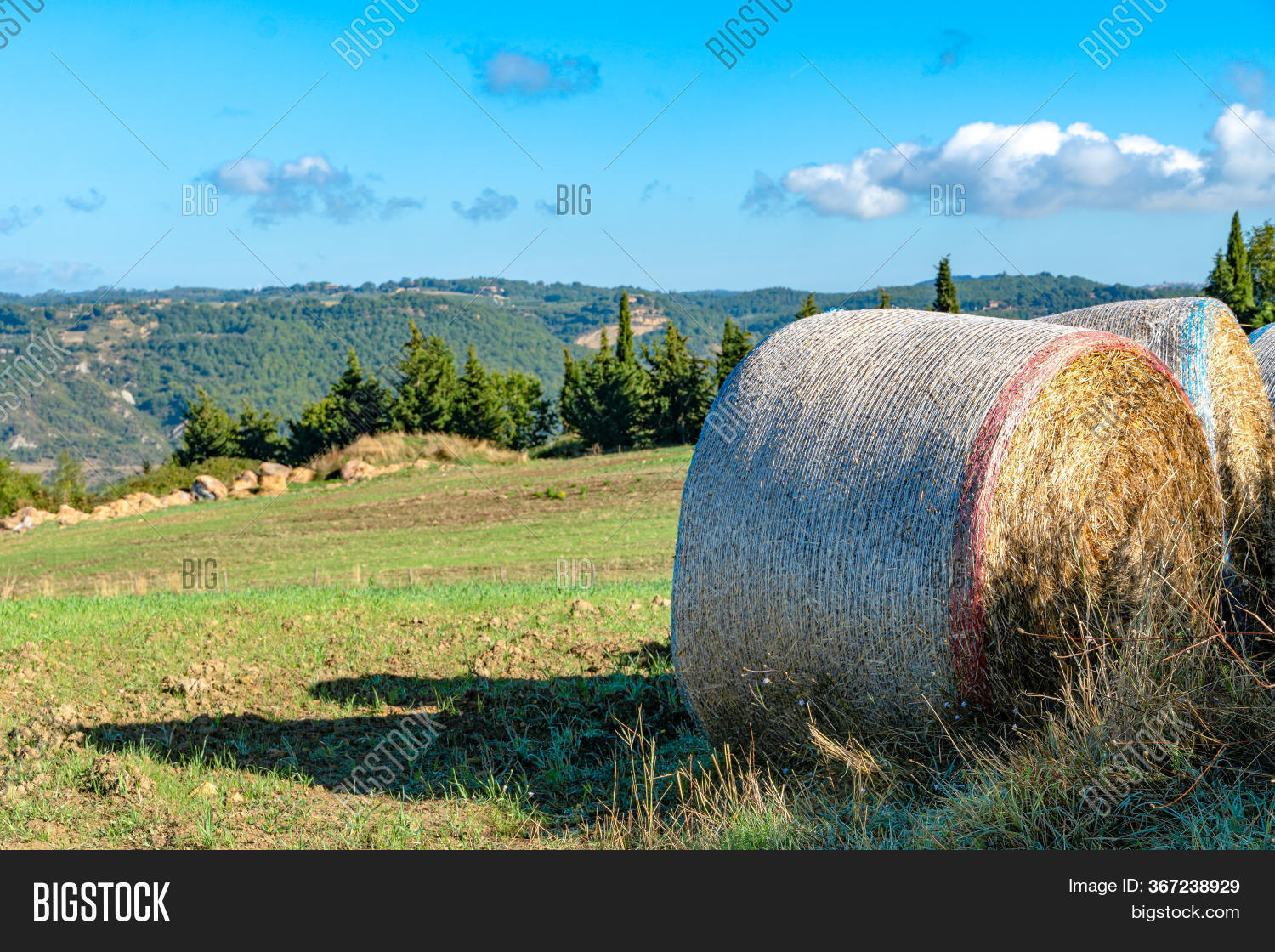 Ball Roll Hay Field Image & Photo (Free Trial) | Bigstock