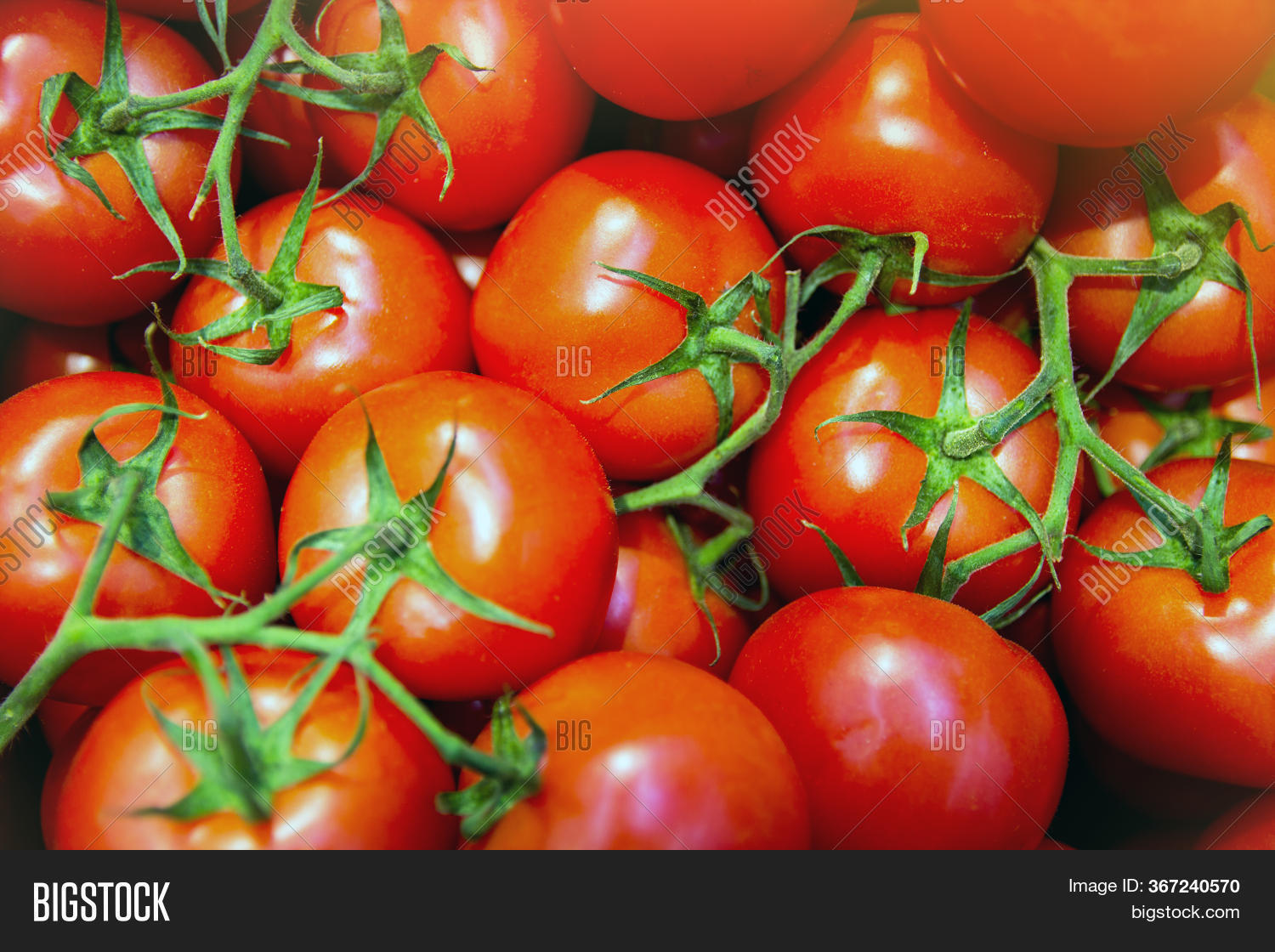 Food Vegetable Tomato Image & Photo (Free Trial) | Bigstock