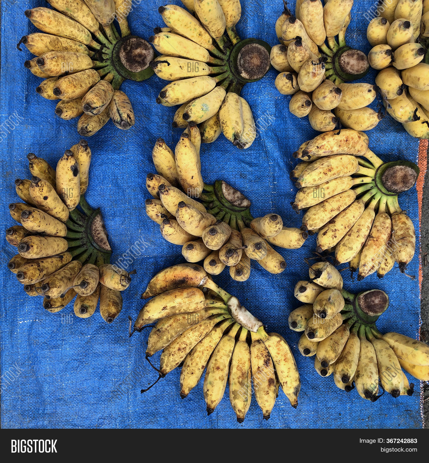 Top View On Banana Image & Photo (Free Trial) | Bigstock