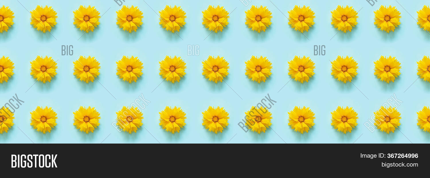 Flower Pattern. Banner Image & Photo (Free Trial) | Bigstock