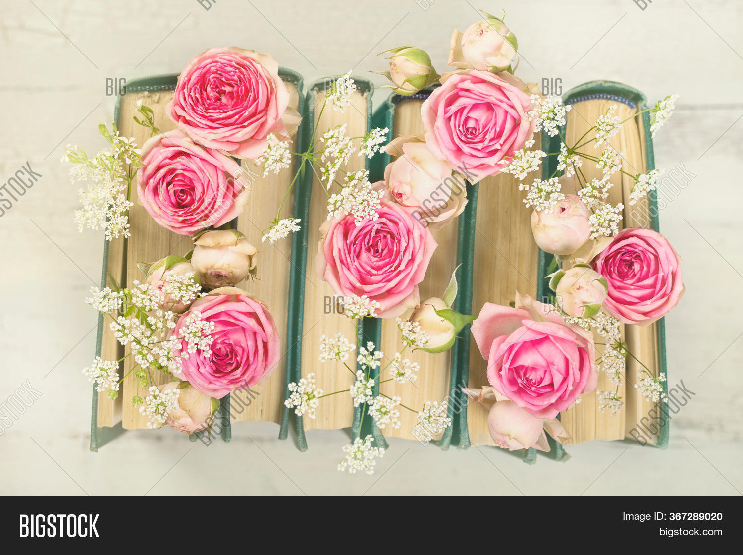 Pink Flowers Old Books Image & Photo (Free Trial) | Bigstock