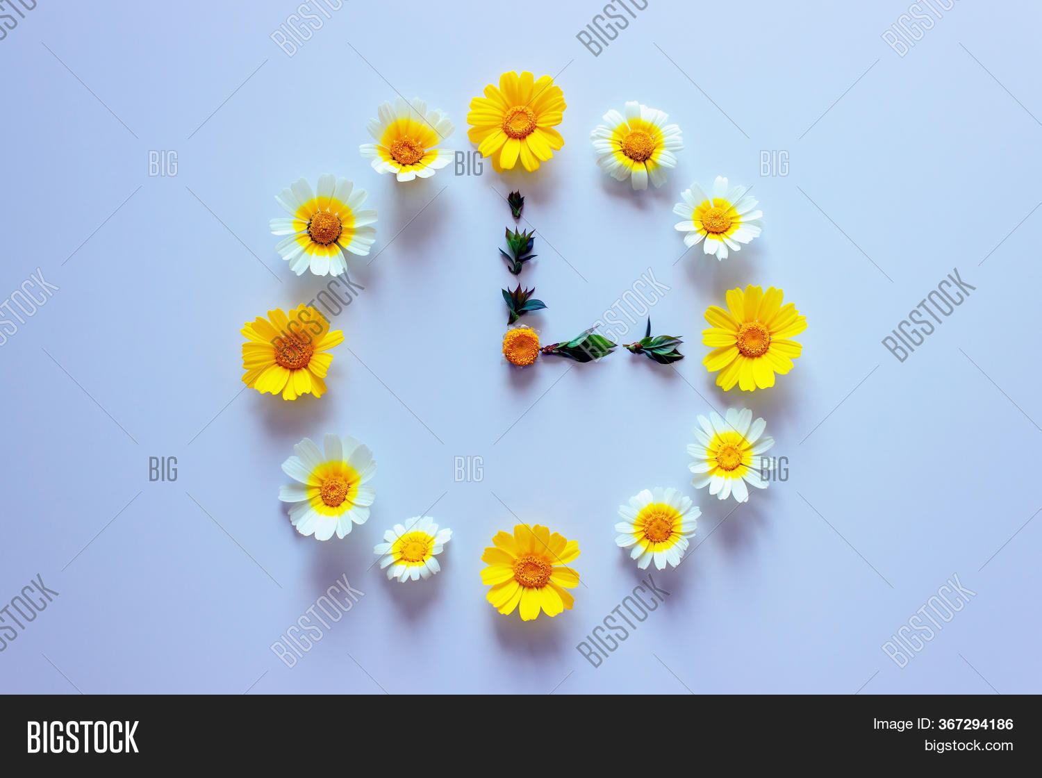Flower Clock Made Image & Photo (Free Trial) | Bigstock