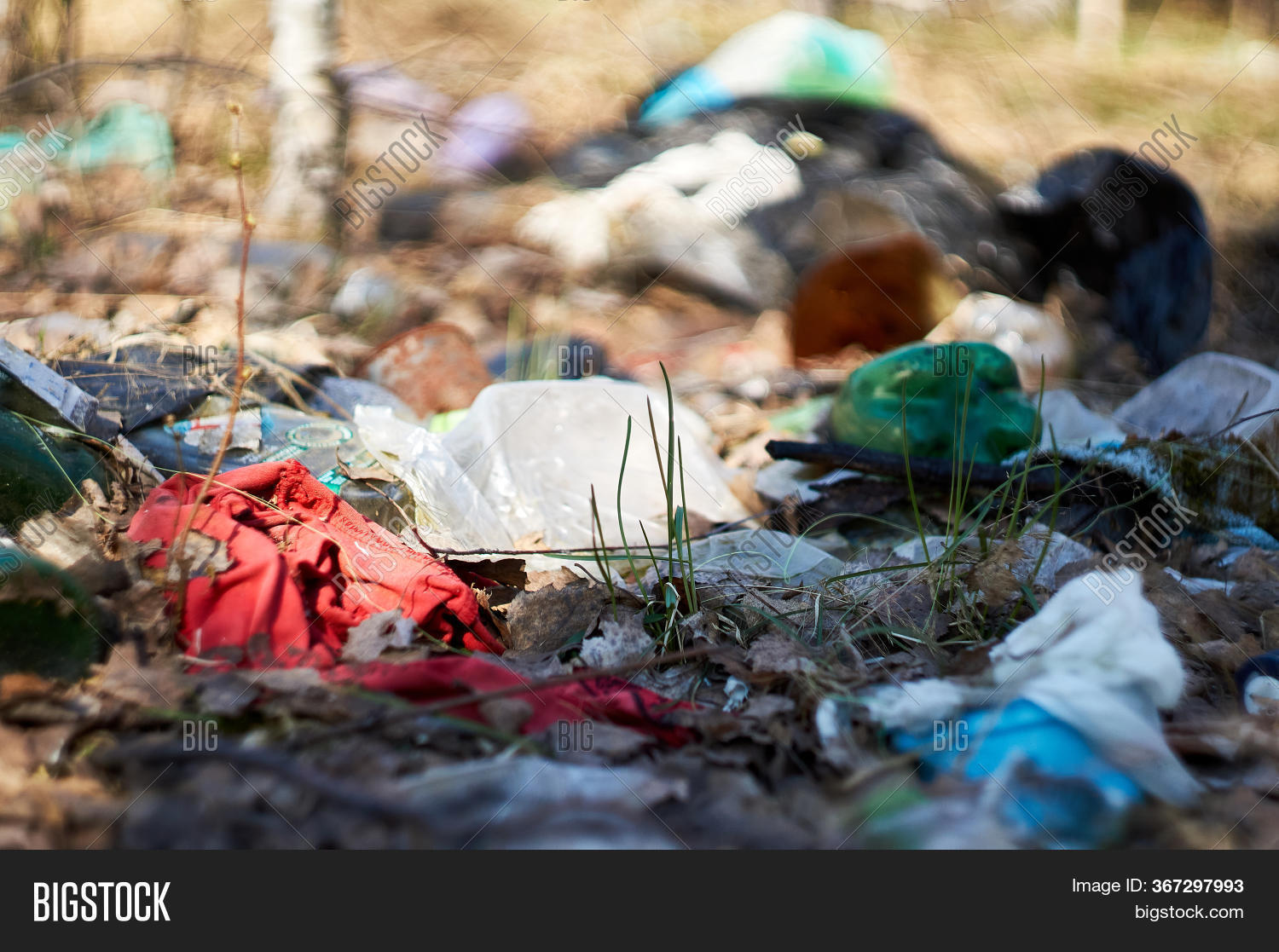 Garbage Lying Forest. Image & Photo (Free Trial) | Bigstock