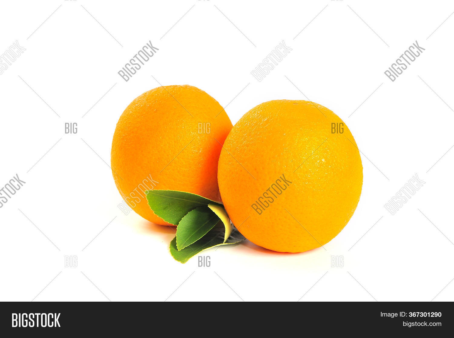Orange Fruits Leaf Image & Photo (Free Trial) | Bigstock