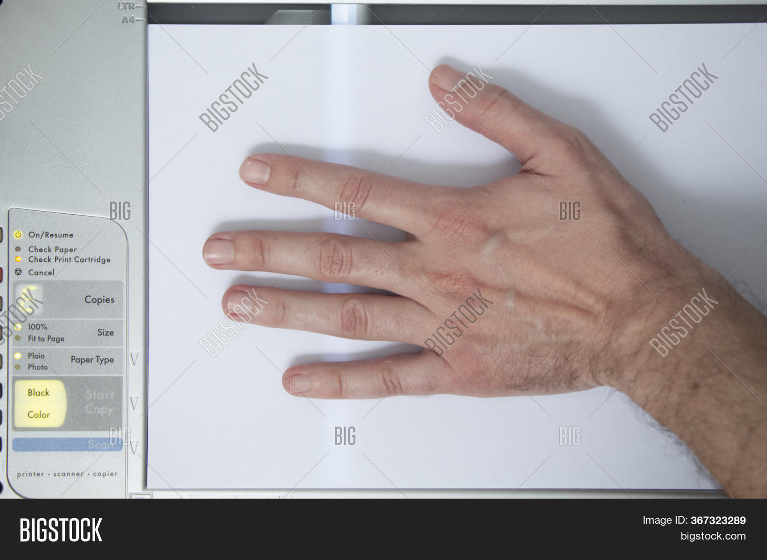 Scanning Human Hand Image & Photo (Free Trial) | Bigstock