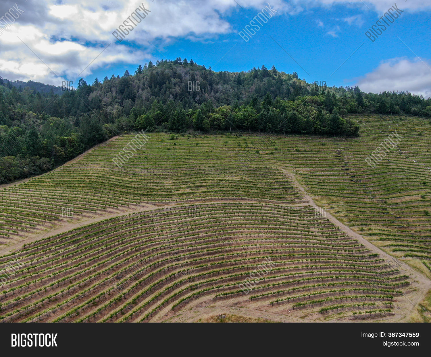 Aerial View Napa Image & Photo (Free Trial) | Bigstock