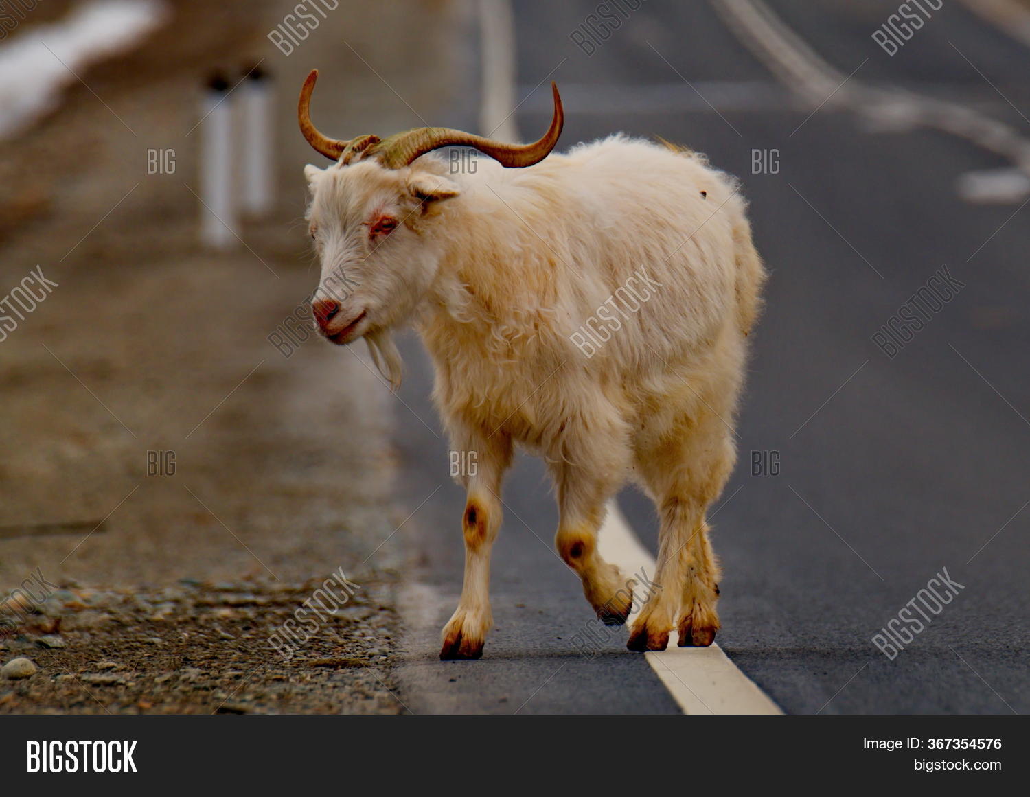 Russia. South Western Image & Photo (Free Trial) | Bigstock