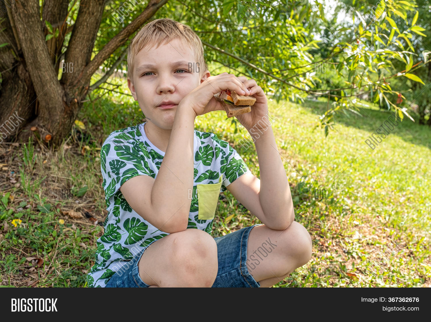 Boy Eating Sandwich Image & Photo (Free Trial) | Bigstock