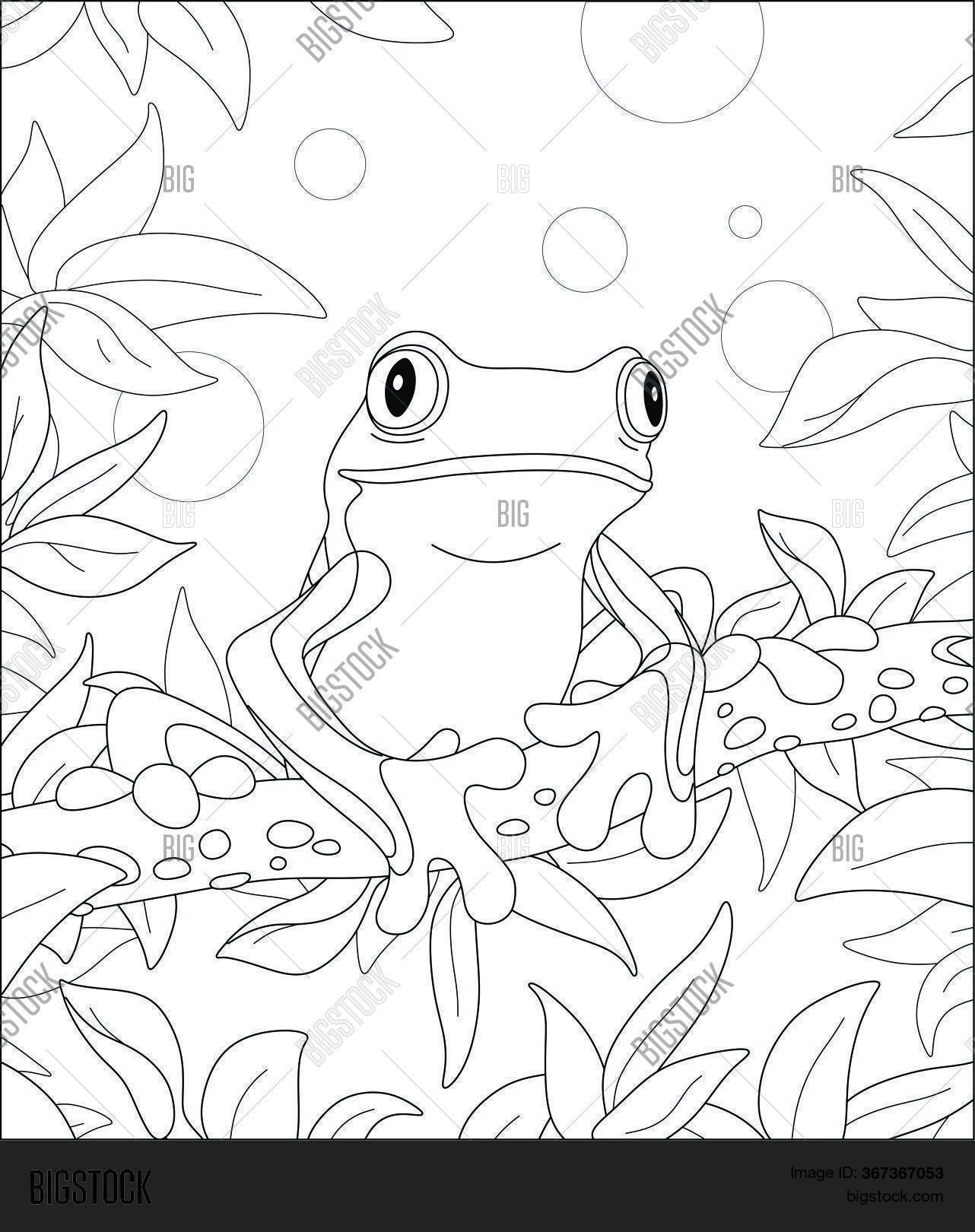 Funny Poisonous Frog Vector & Photo (Free Trial) | Bigstock