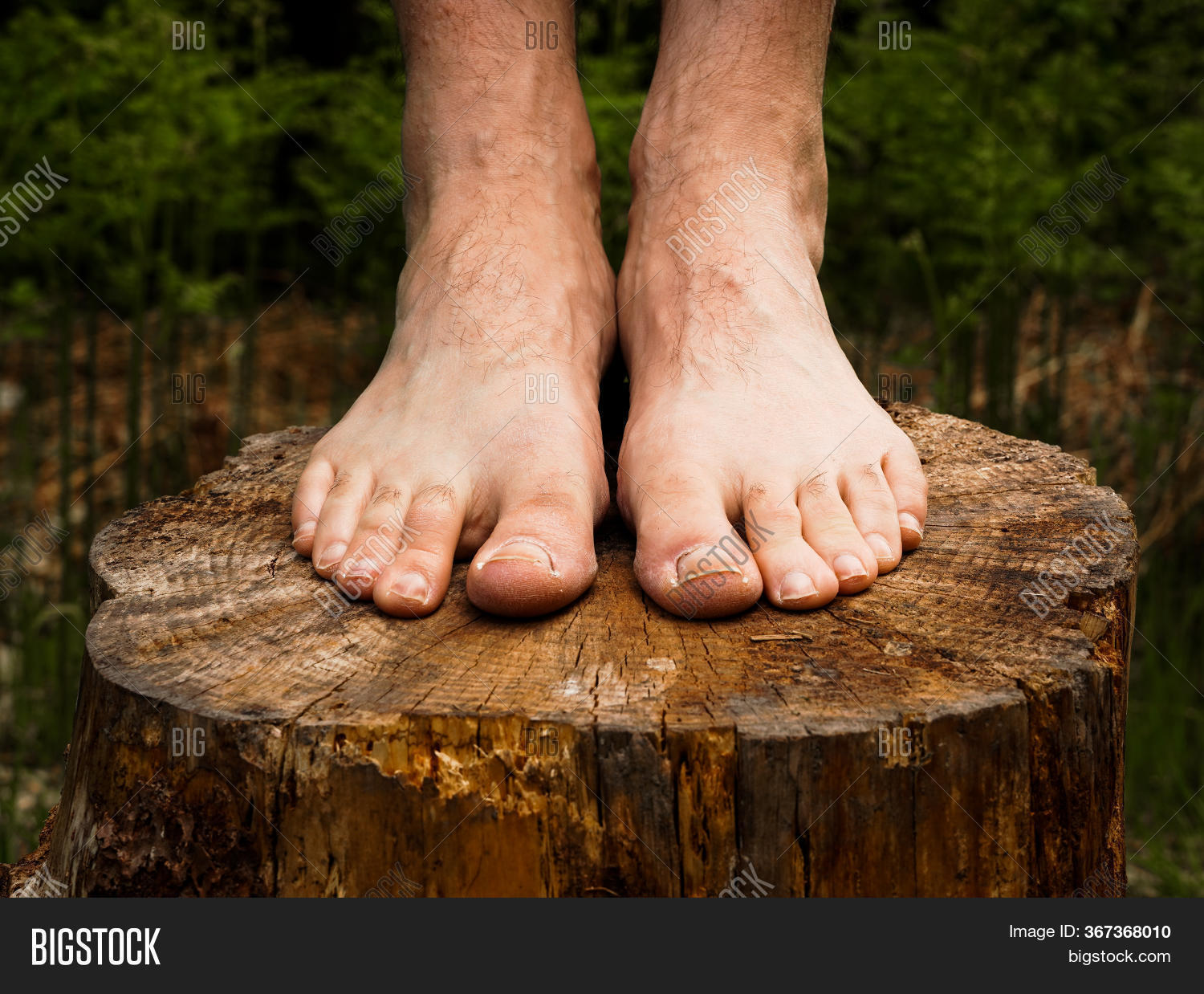 Ecology Background Image & Photo (Free Trial) | Bigstock