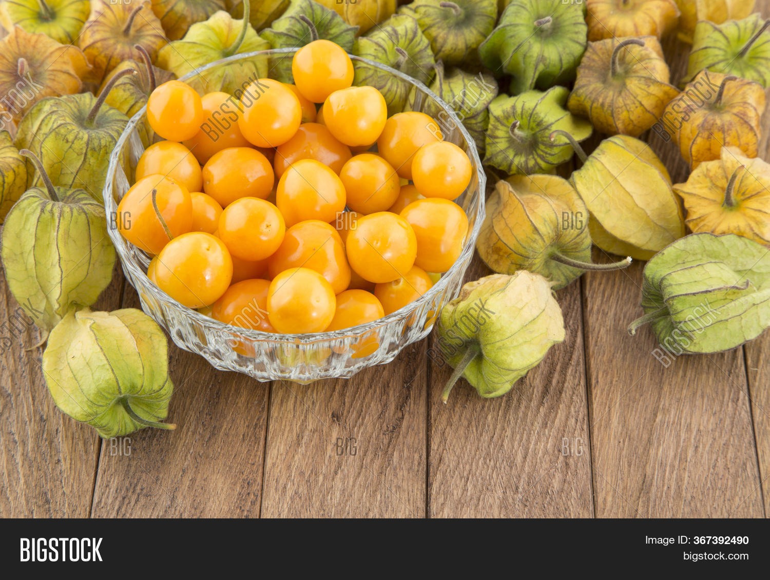 Physalis Peruviana - Image & Photo (Free Trial) | Bigstock