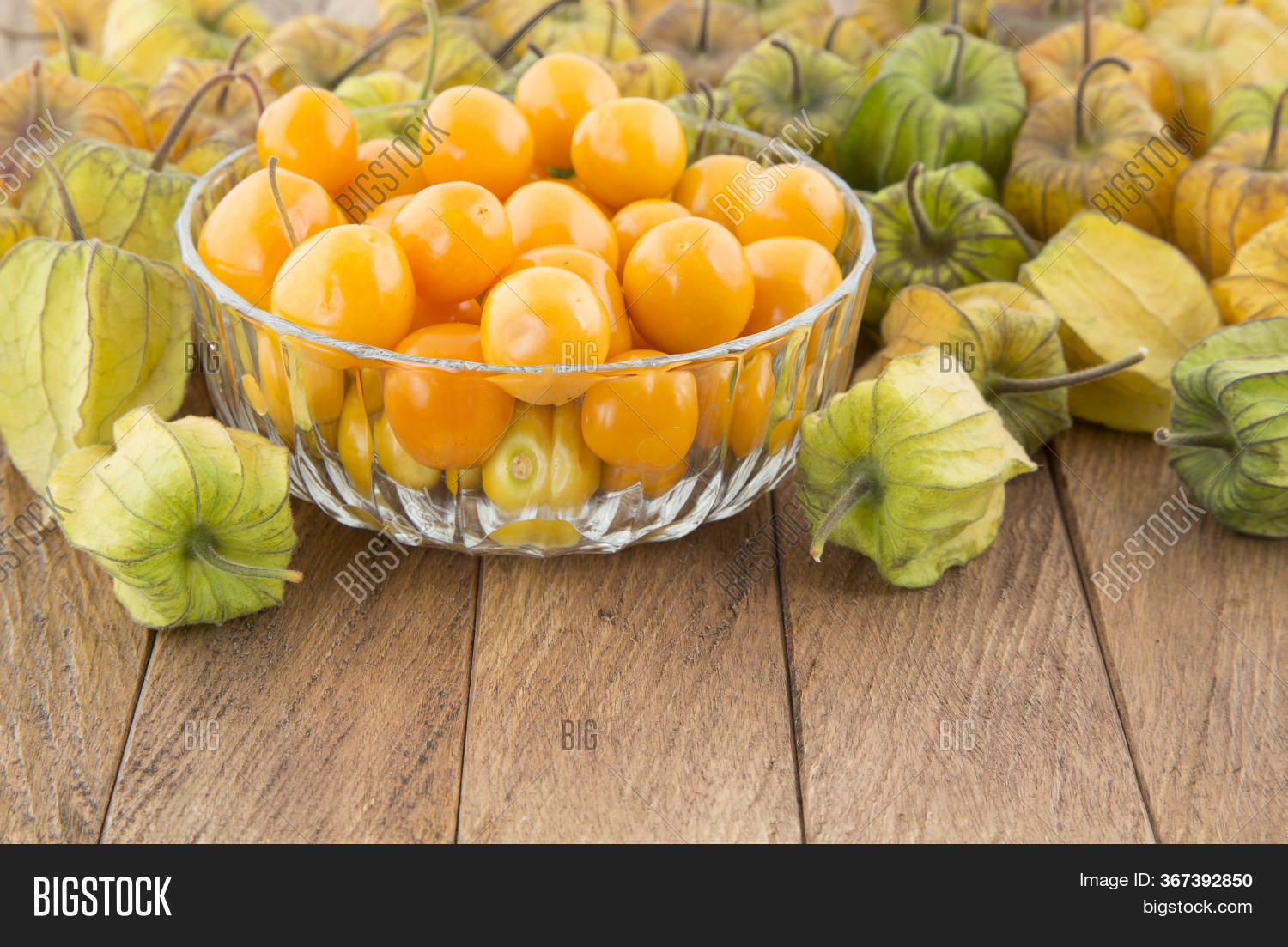 Physalis Peruviana - Image & Photo (Free Trial) | Bigstock
