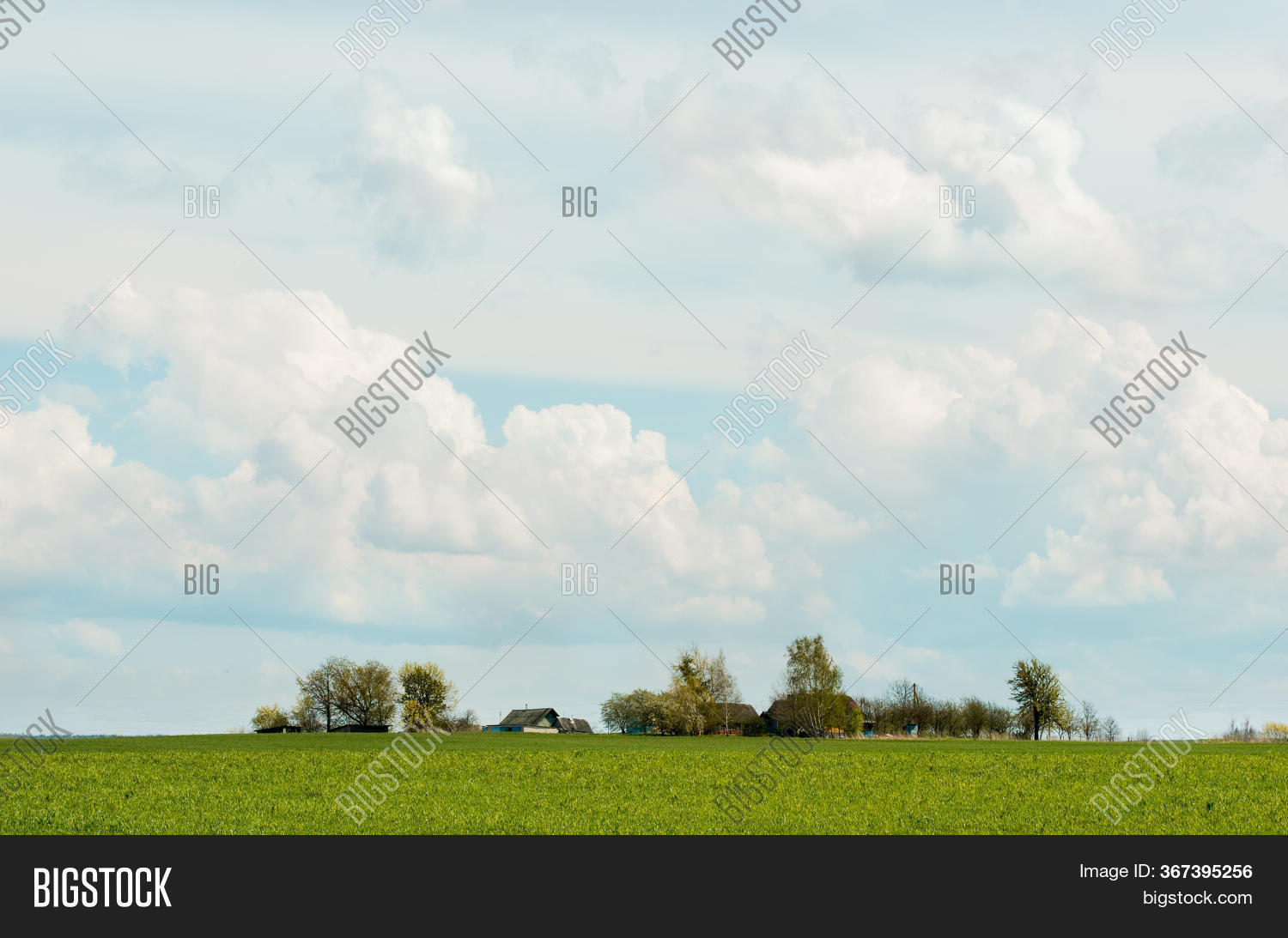 Horizon.green Field Image & Photo (Free Trial) | Bigstock