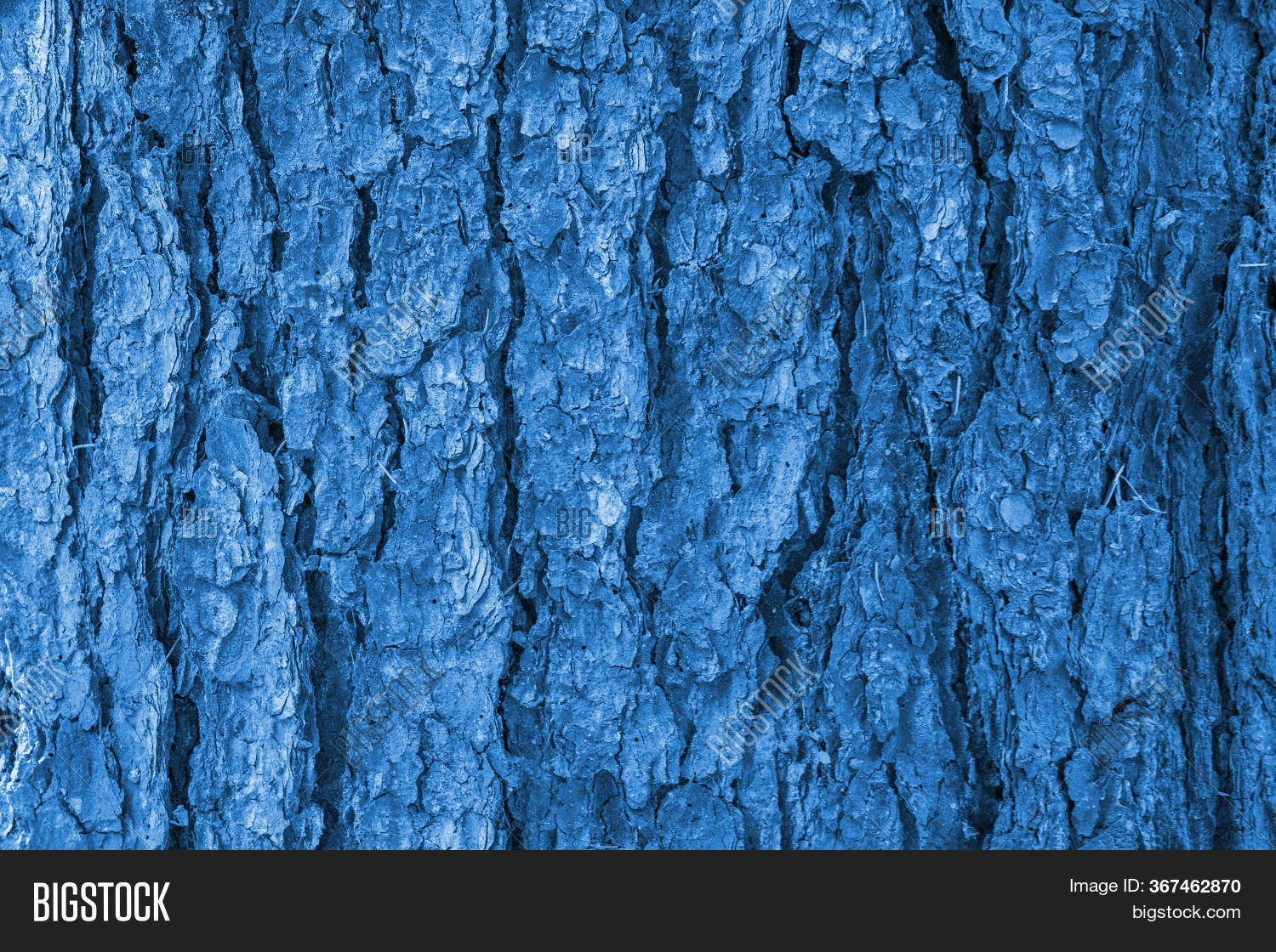 Close- Bark Tree Color Image & Photo (Free Trial) | Bigstock