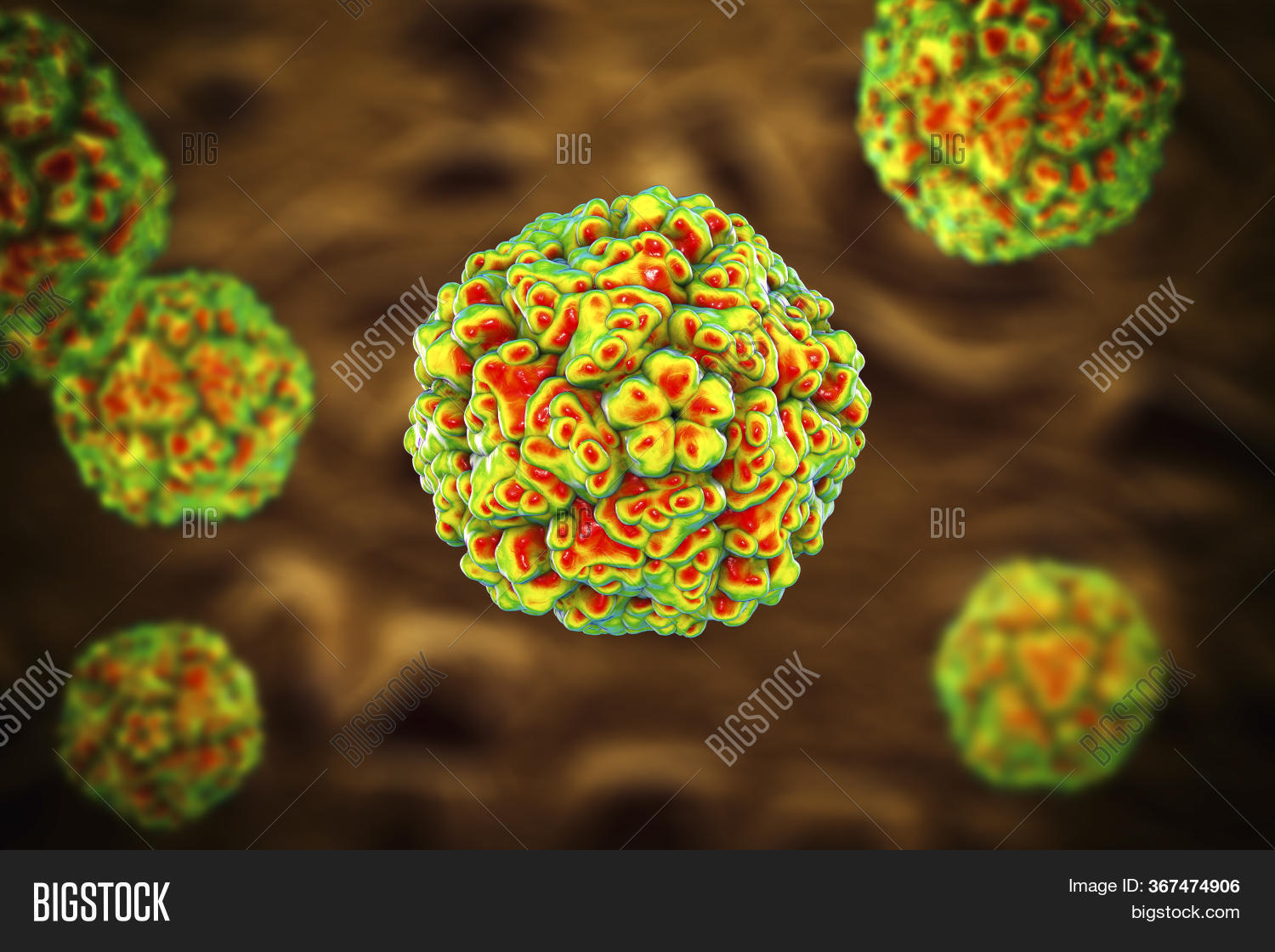 Enteroviruses, Group Image & Photo (Free Trial) | Bigstock