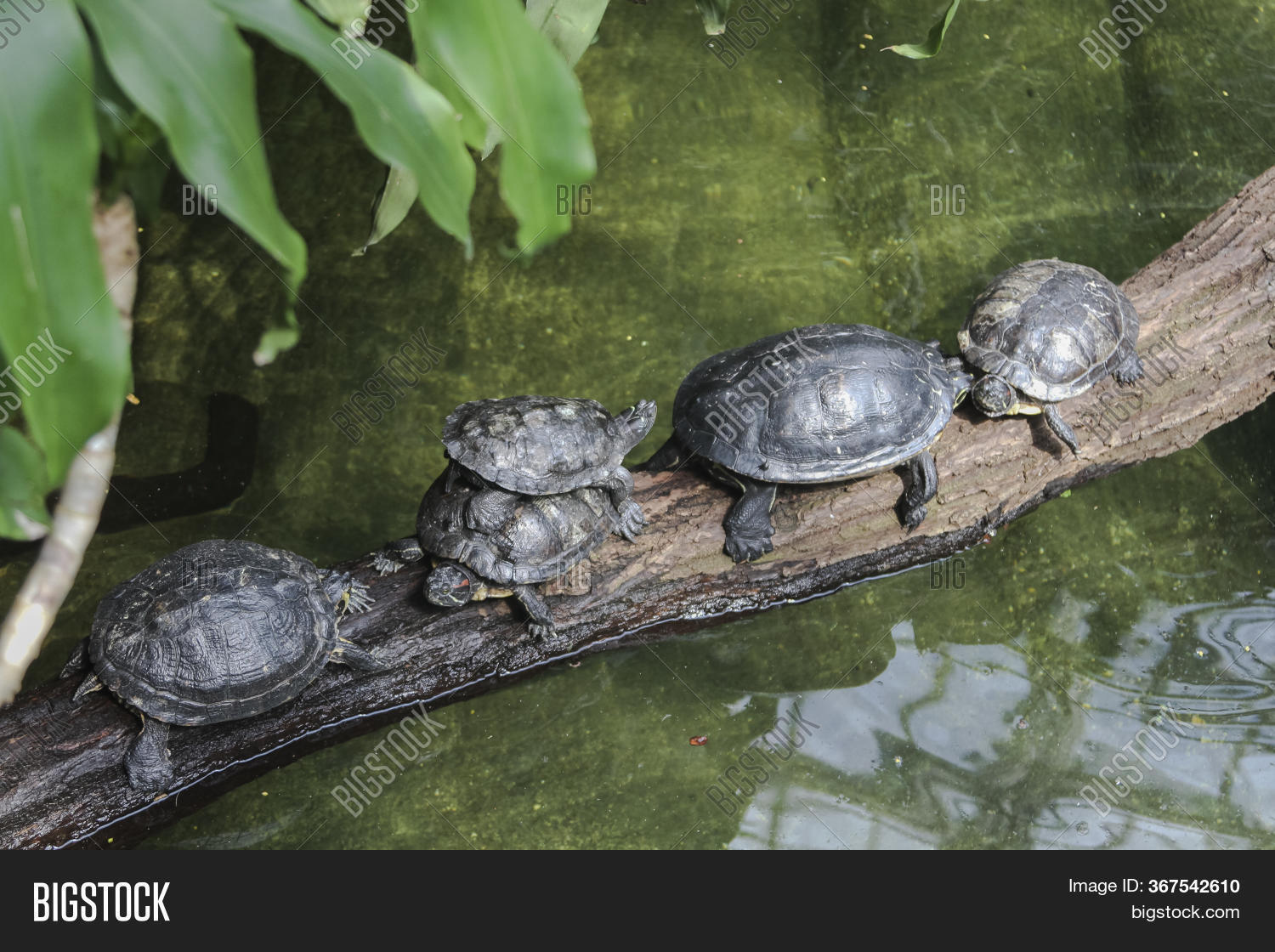 Slow Turn Group Image & Photo (Free Trial) | Bigstock