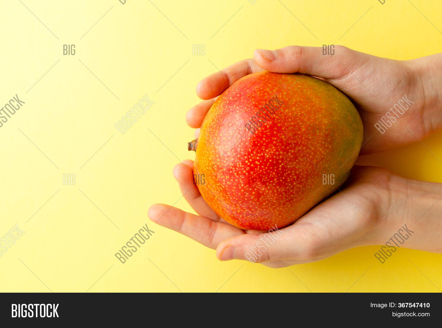 Ripe Mango Fruit Hold Image & Photo (Free Trial) | Bigstock