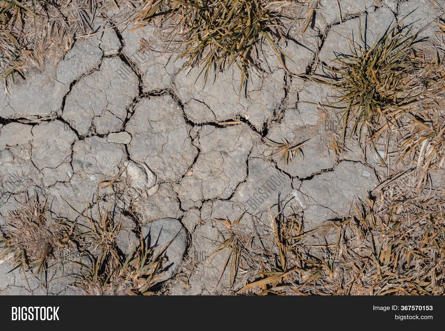 Desert Landscape Image & Photo (Free Trial) | Bigstock