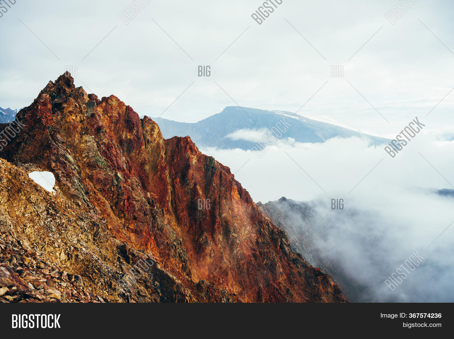 Beautiful Pointed Image & Photo (Free Trial) | Bigstock