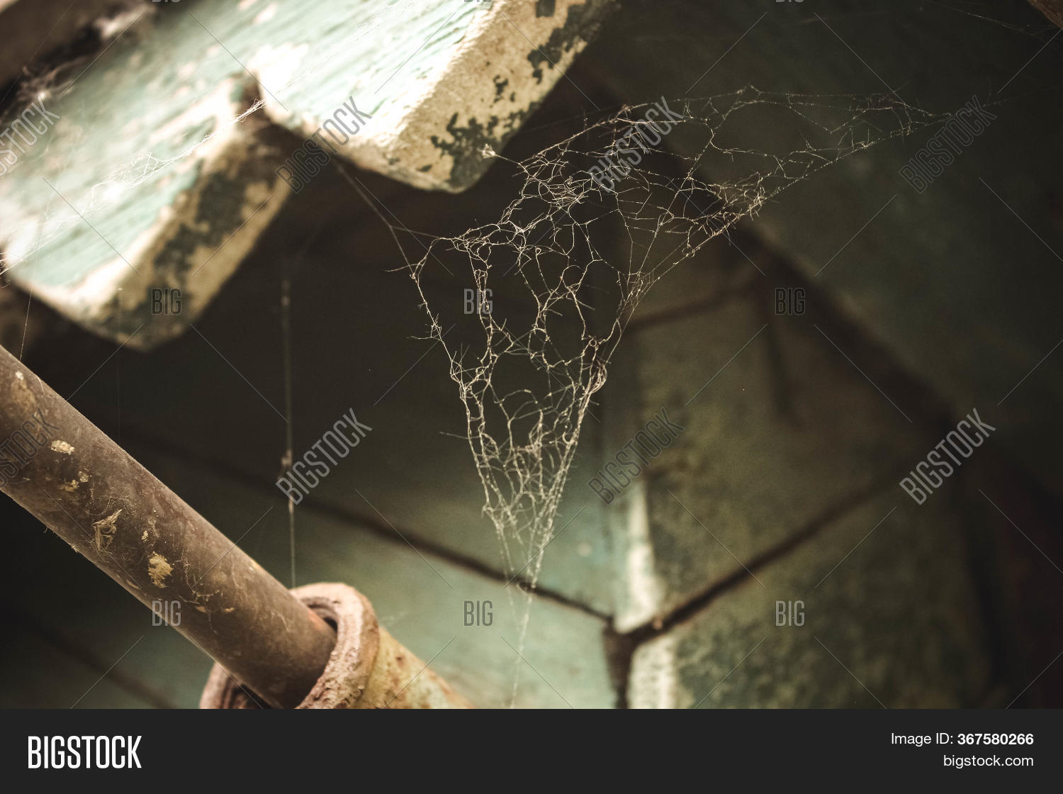 Cobwebs Corner Top Old Image & Photo (Free Trial) | Bigstock