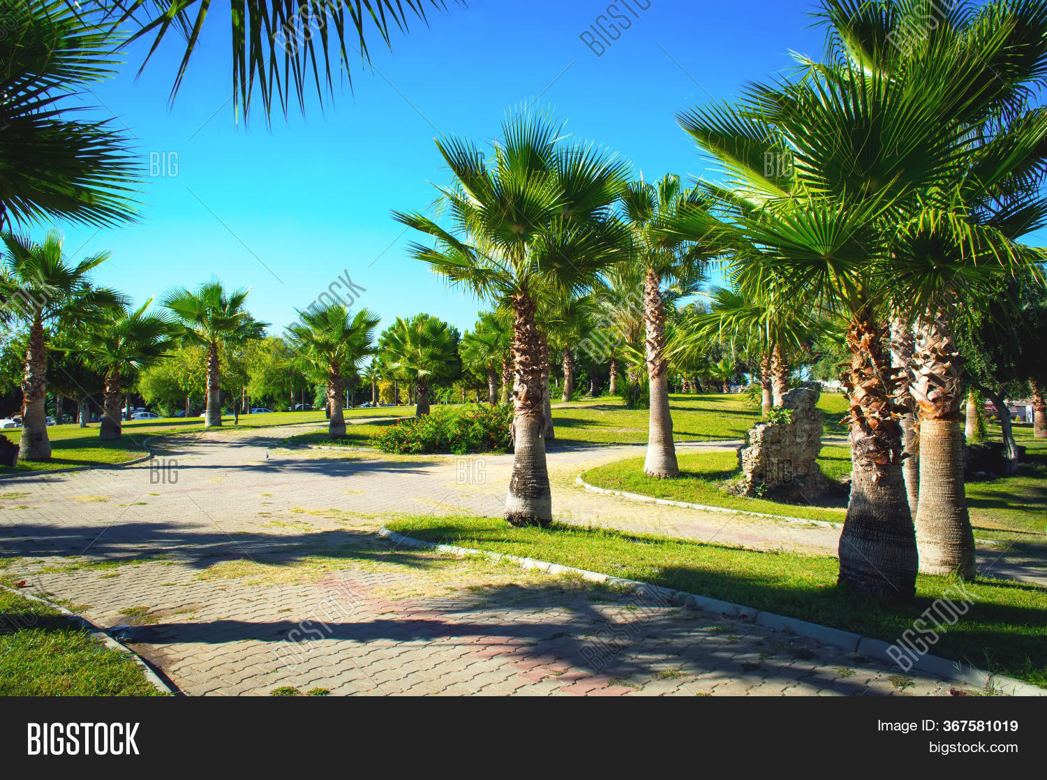 Park Sunny Weather On Image & Photo (Free Trial) | Bigstock