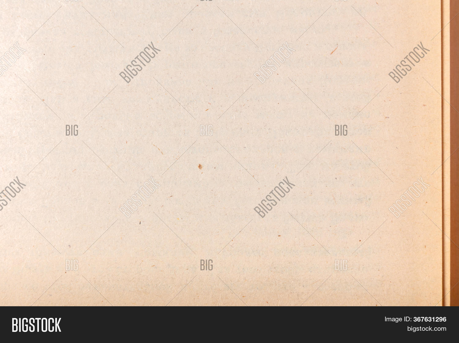 Yellowed Blank Page Image & Photo (Free Trial) | Bigstock