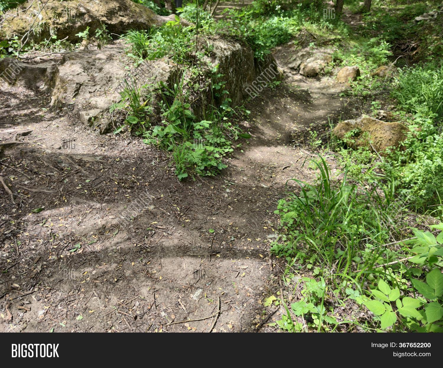 Brown Path Green Image & Photo (Free Trial) | Bigstock