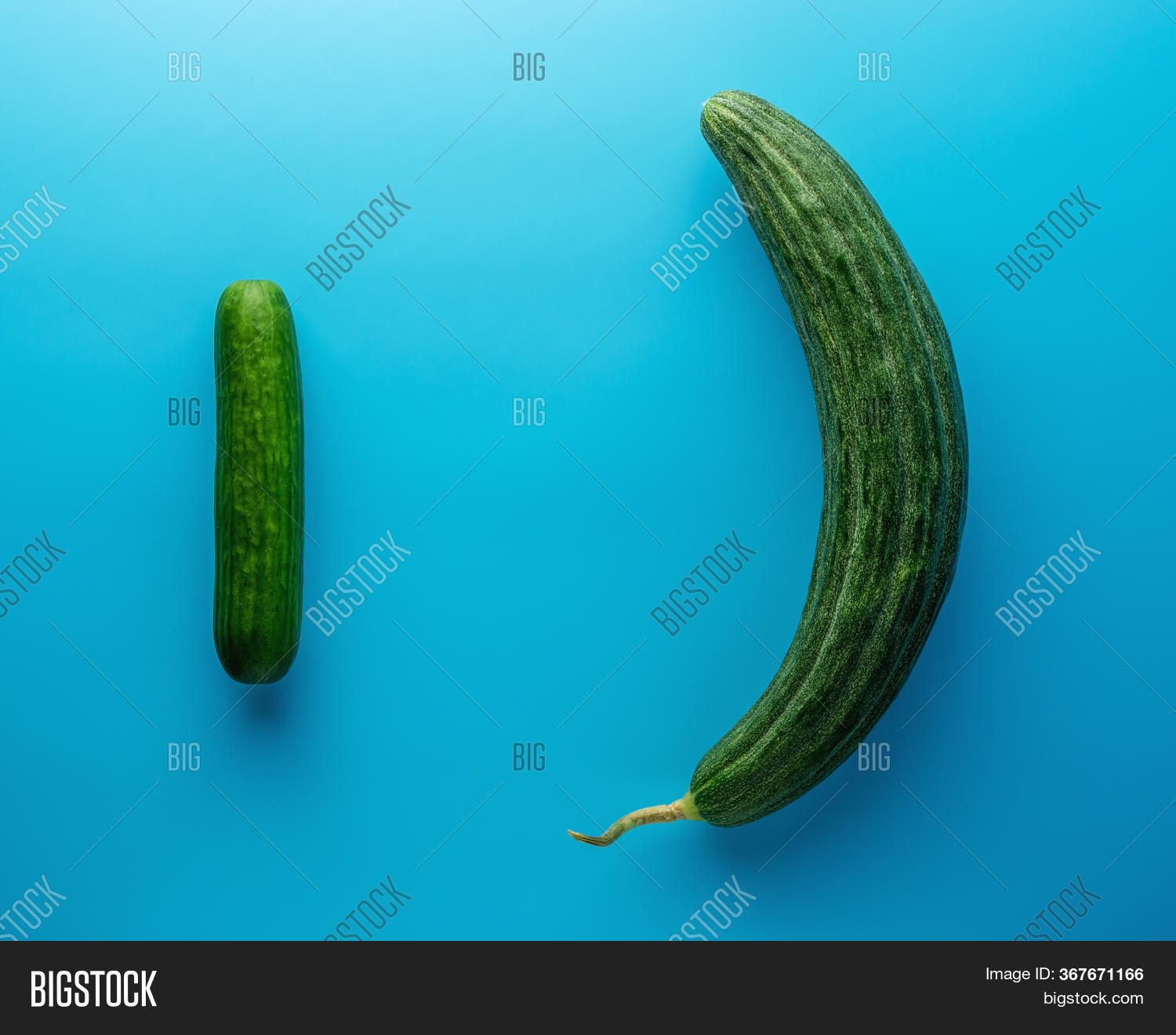 Two Cucumbers On Blue Image & Photo (Free Trial) | Bigstock