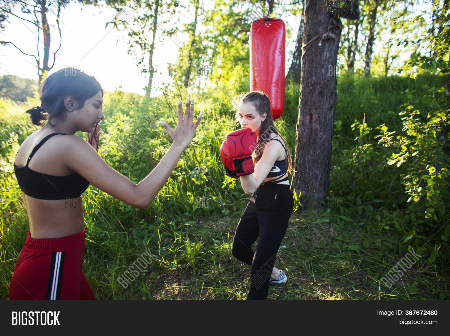 Two Diverse Nations Image & Photo (Free Trial) | Bigstock