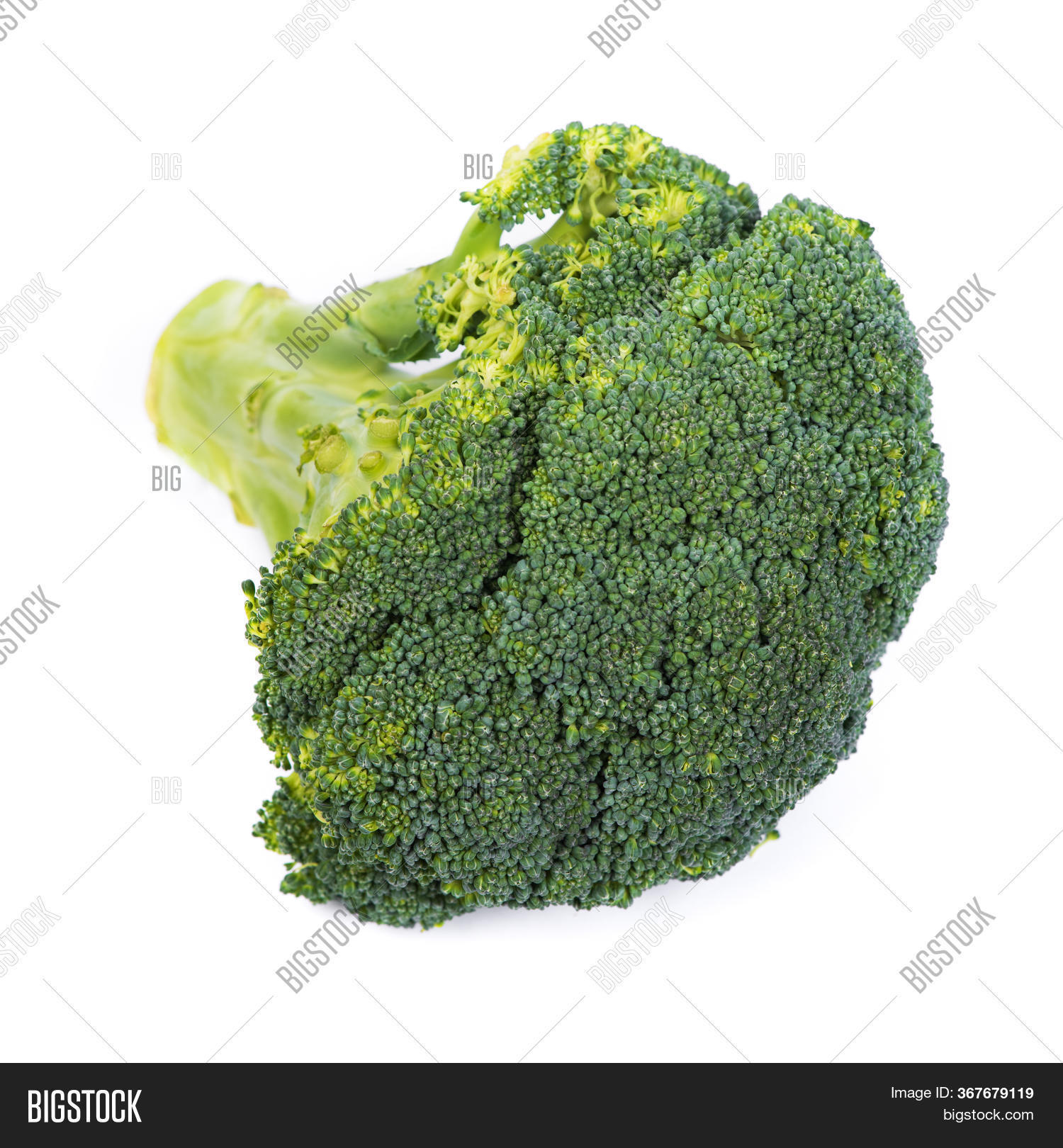 Fresh Broccoli Closeup Image & Photo (Free Trial) | Bigstock