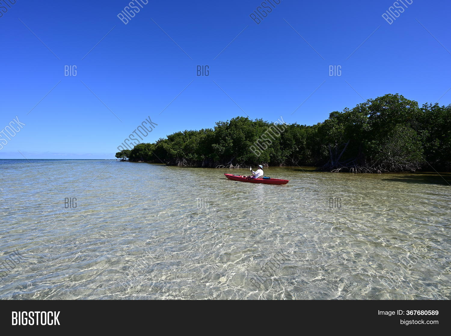 Key Biscayne, Florida Image & Photo (Free Trial) | Bigstock
