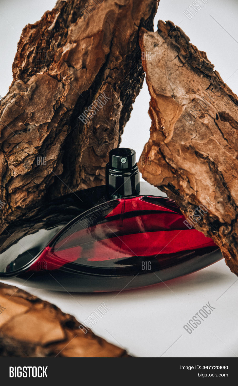 Perfume Tree Bark Image & Photo (Free Trial) | Bigstock