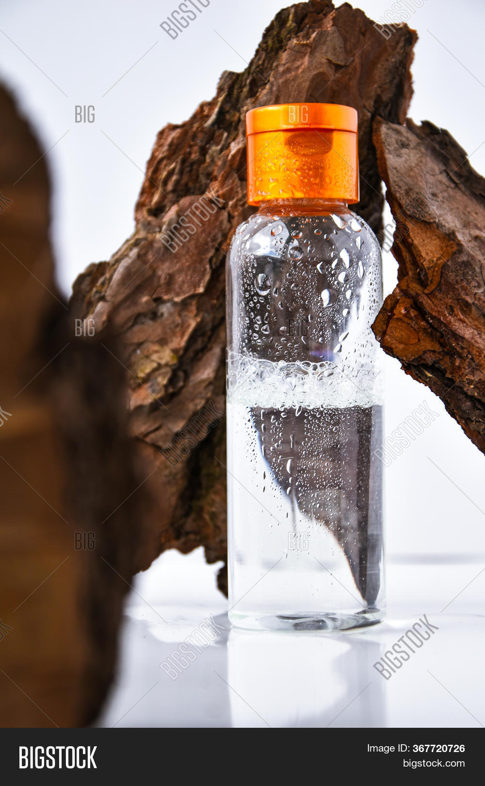 Perfume Tree Bark Image & Photo (Free Trial) | Bigstock