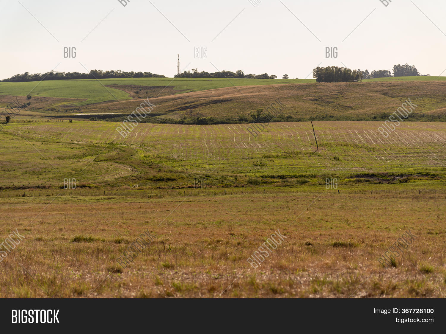 Farm Southern Brazil Image & Photo (Free Trial) | Bigstock