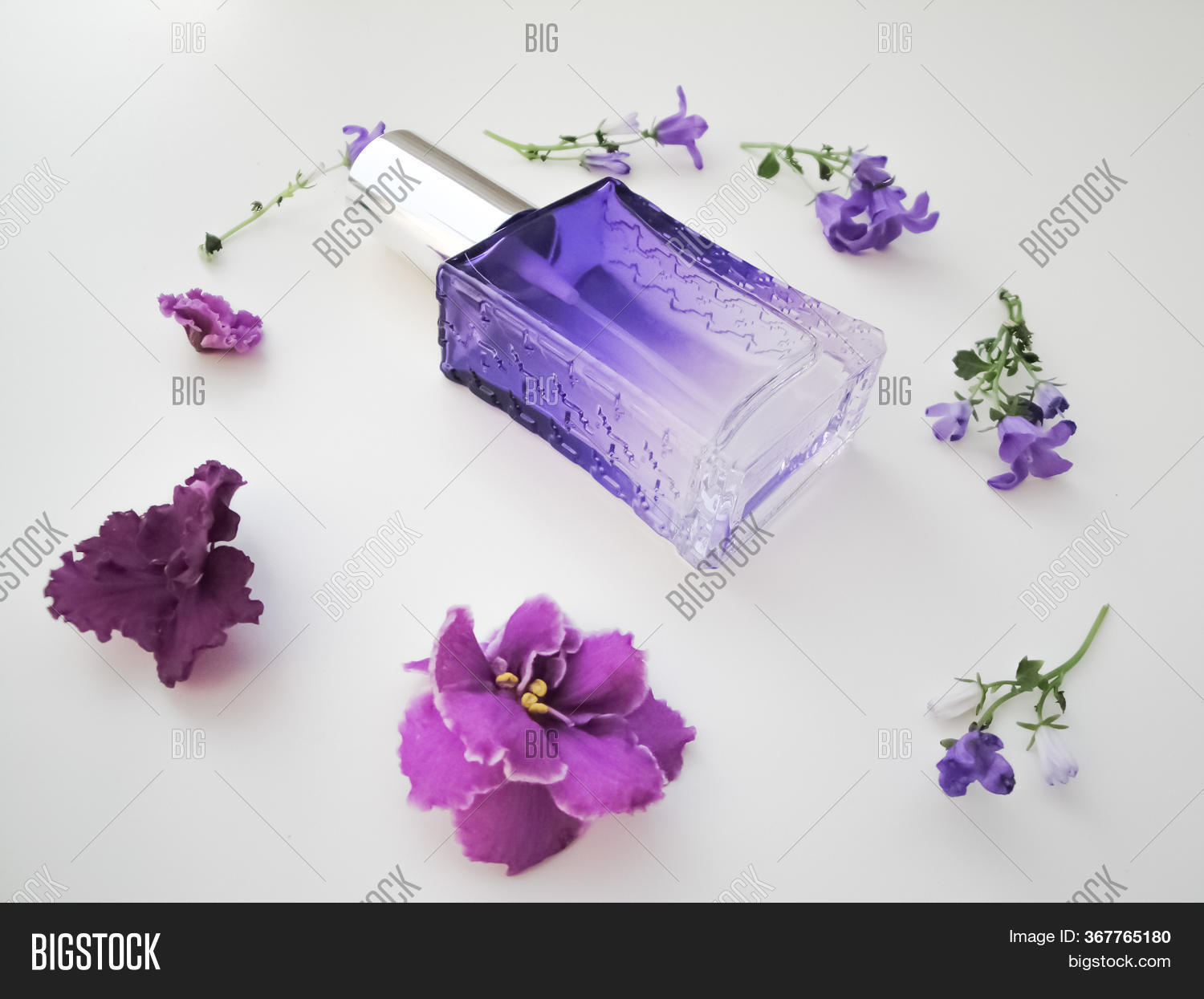 Violet Perfume Bottle Image & Photo (Free Trial) | Bigstock