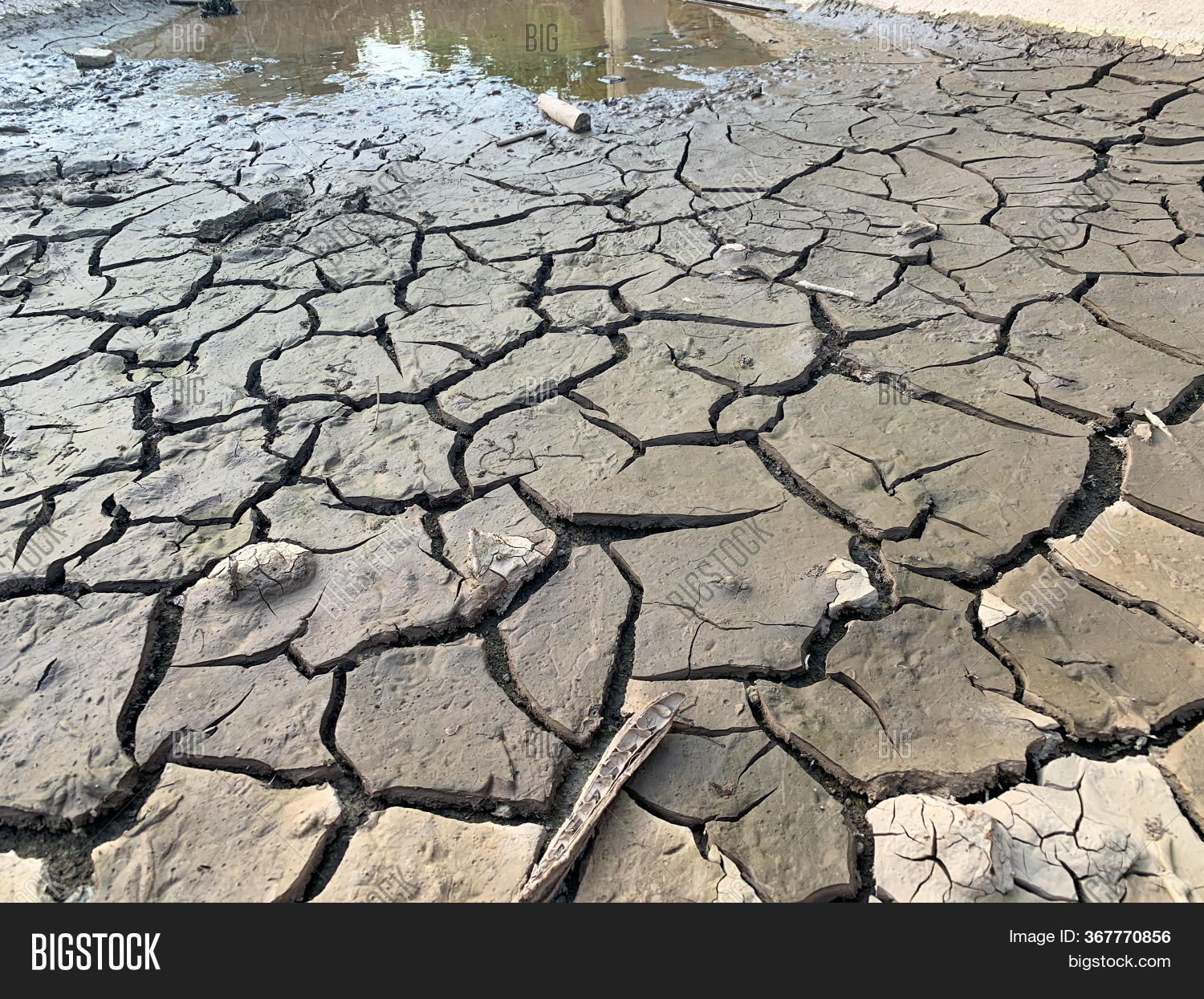 Dry Land Dry Season Image & Photo (Free Trial) | Bigstock