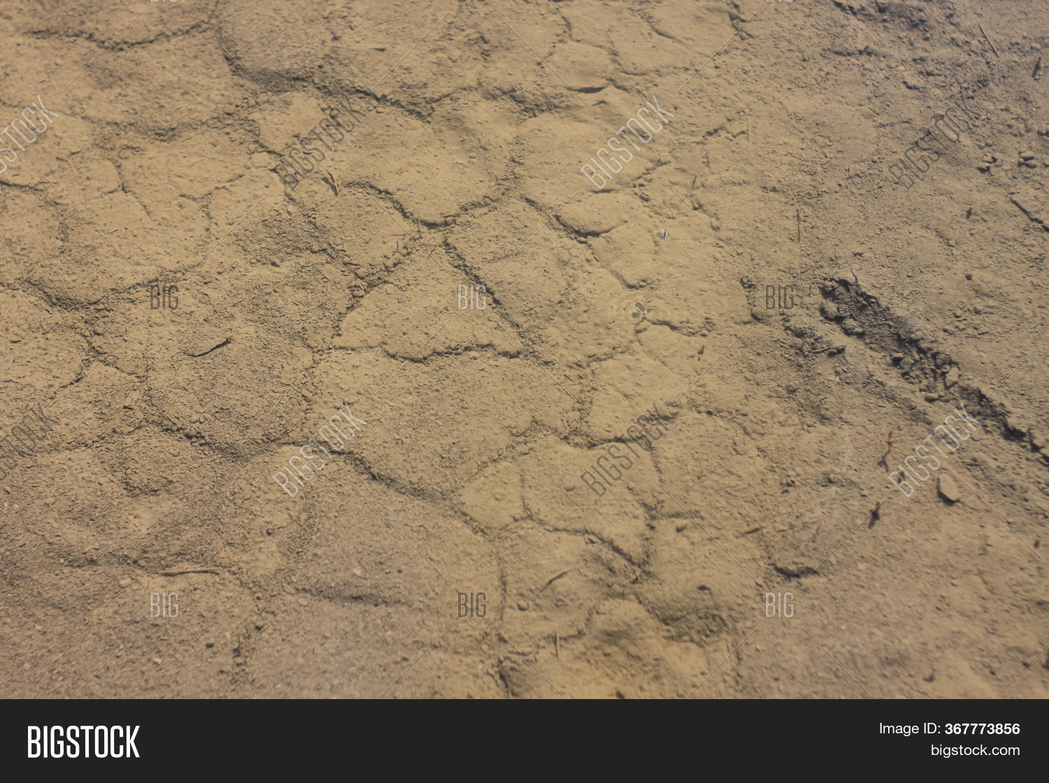 Peloid Healing Mud Image & Photo (Free Trial) | Bigstock