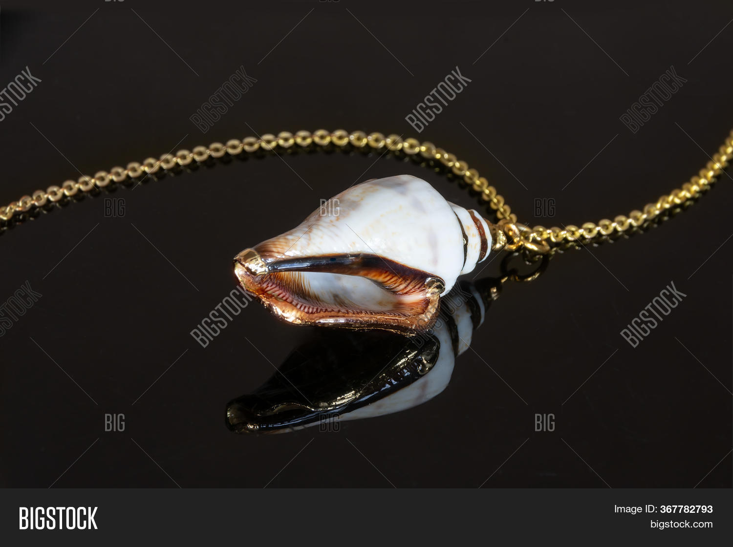 Seashell Pendant On Image & Photo (Free Trial) | Bigstock