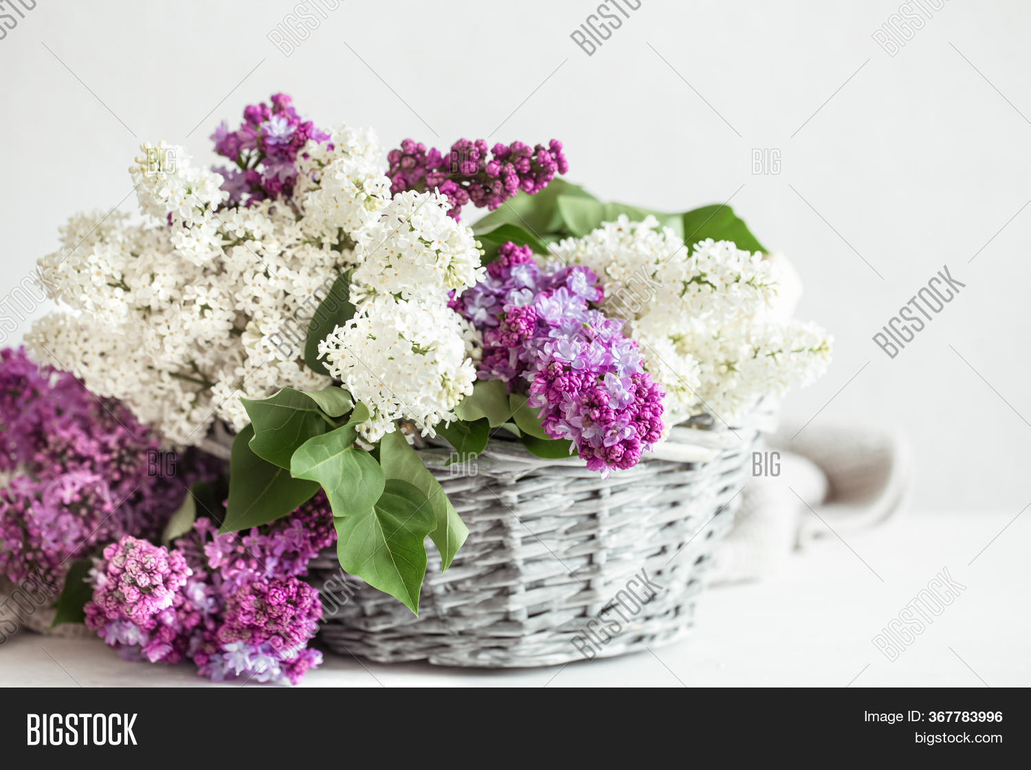 Spring Composition Image & Photo (Free Trial) | Bigstock