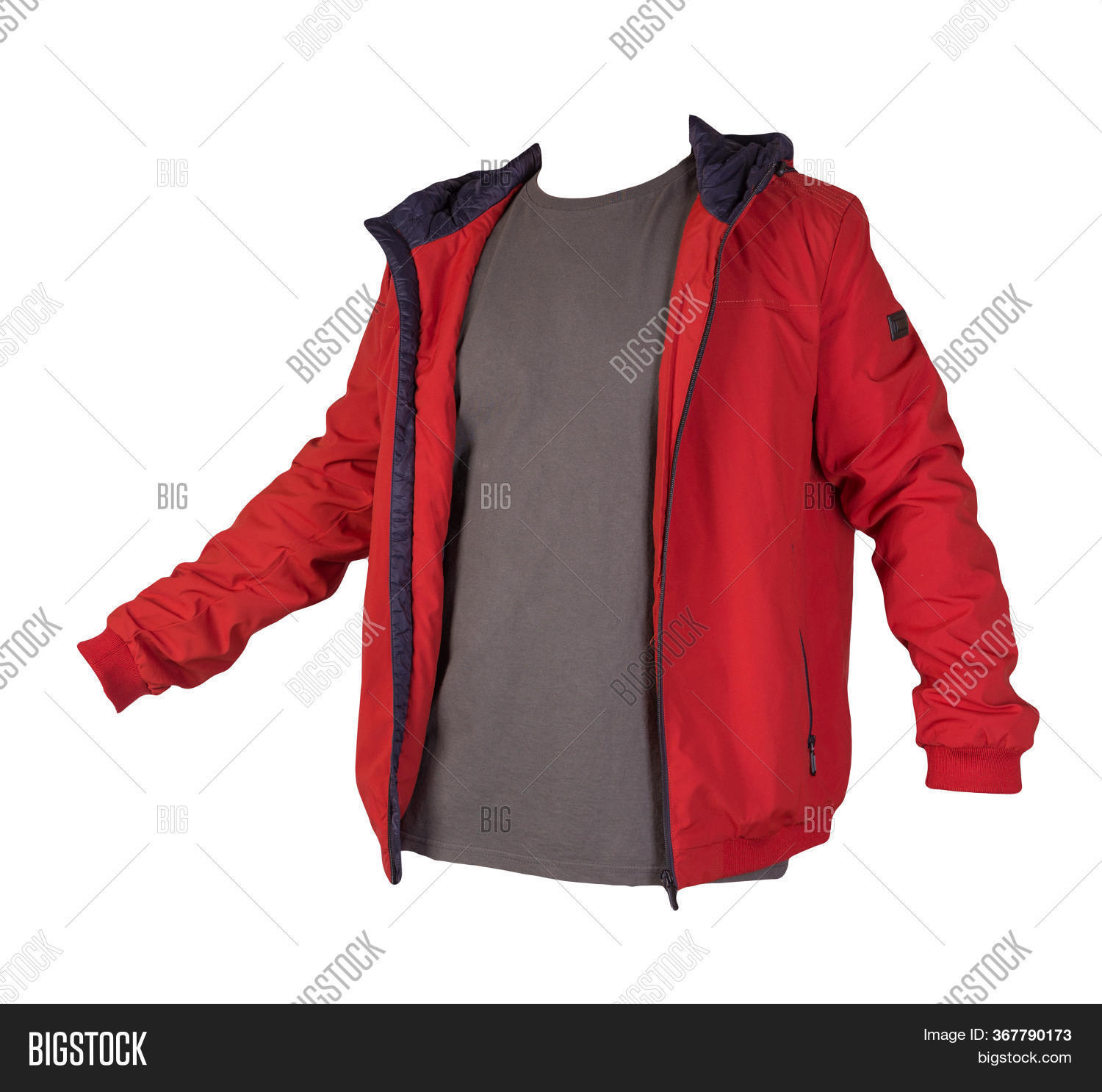 Red Zipped Jacket Gray Image & Photo (Free Trial) | Bigstock
