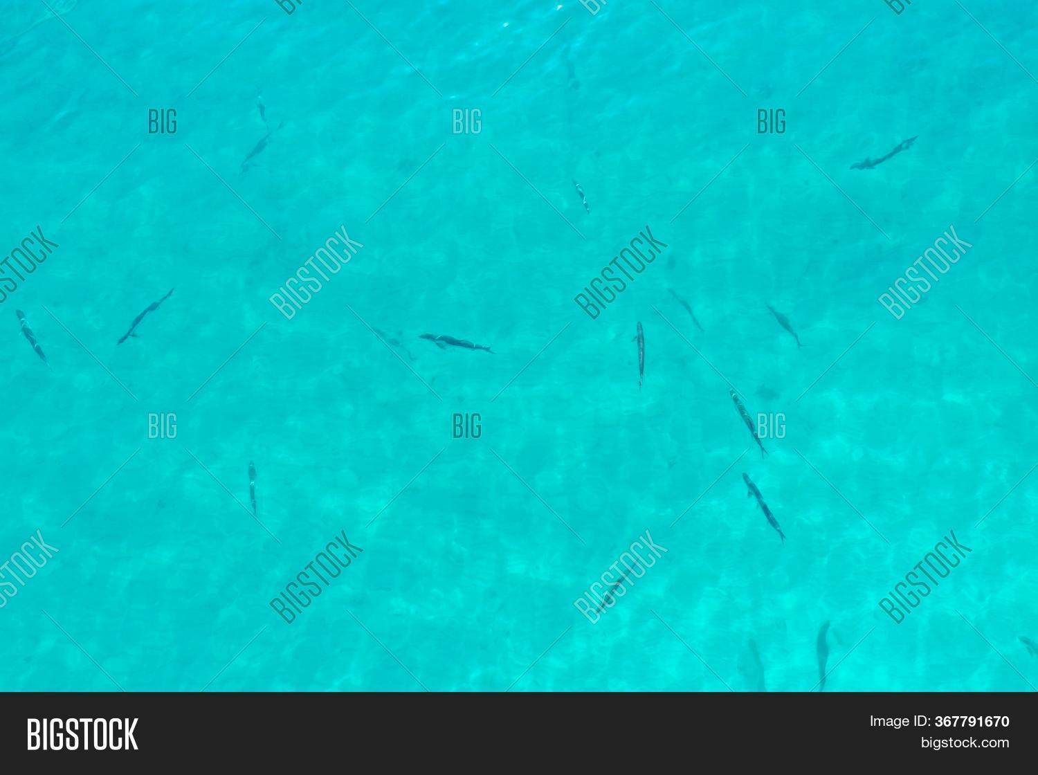 Aerial View School Image & Photo (Free Trial) | Bigstock