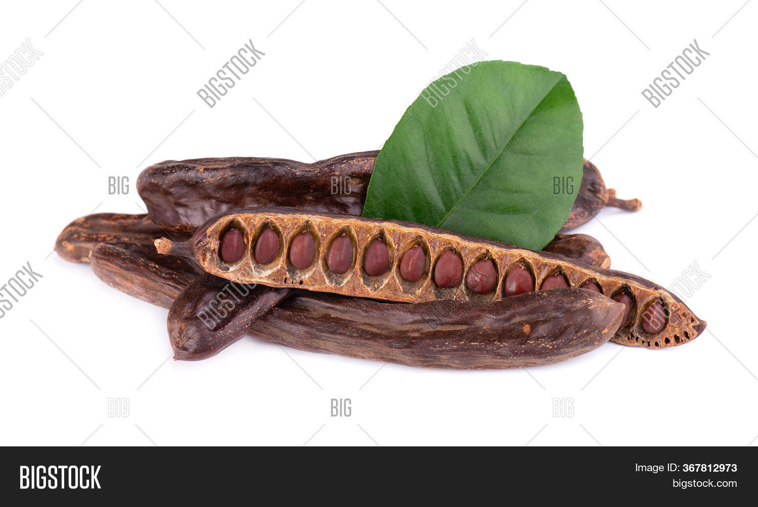 Ripe Carob Pods Bean Image & Photo (Free Trial) | Bigstock